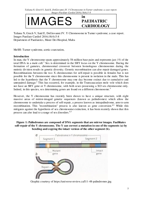 (PDF) Y chromosome in turner syndrome : a case report