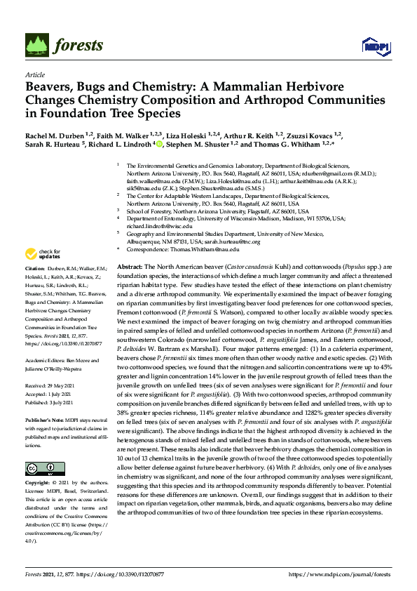 (PDF) Beavers, Bugs and Chemistry: A Mammalian Herbivore Changes ...