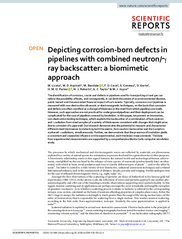 (PDF) Depicting corrosion-born defects in pipelines with combined ...