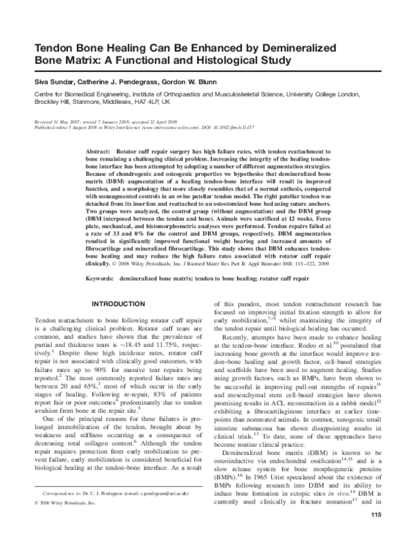 (PDF) Tendon bone healing can be enhanced by demineralized bone matrix ...