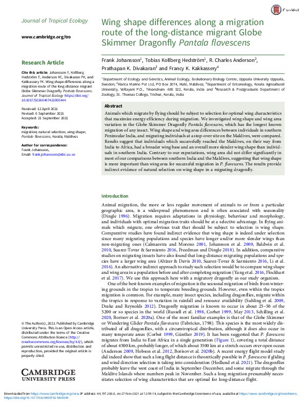 (PDF) Wing shape differences along a migration route of the long ...