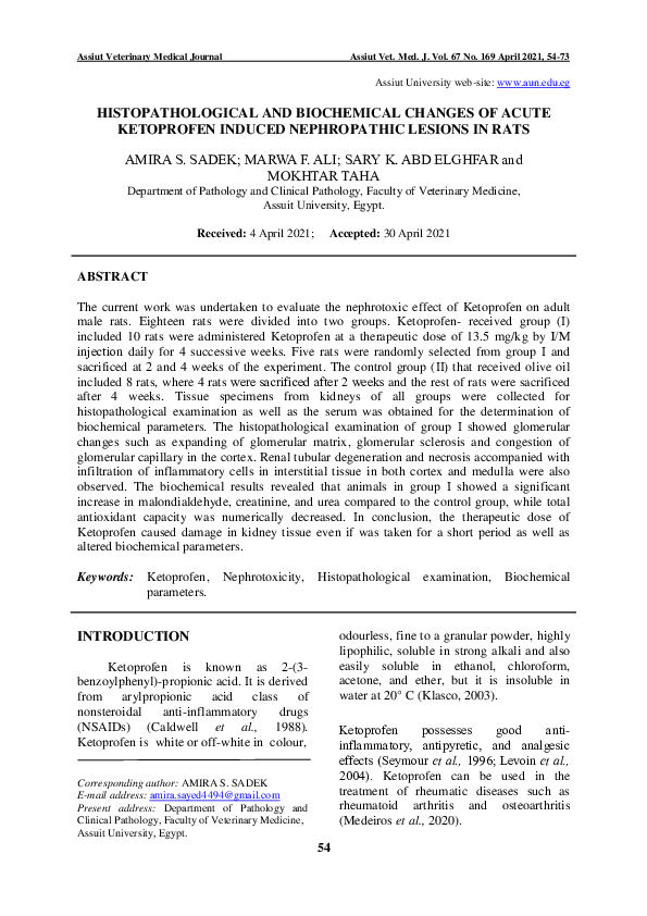 (PDF) Histopathological and Biochemical Changes of Acute Ketoprofen ...
