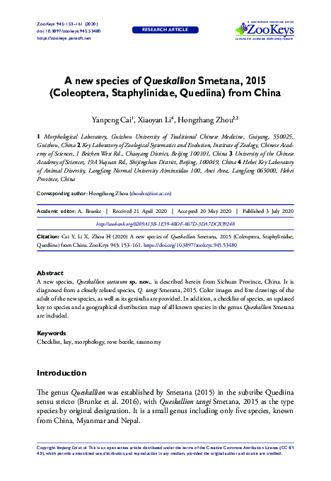 (PDF) A new species of Queskallion Smetana, 2015 (Coleoptera ...