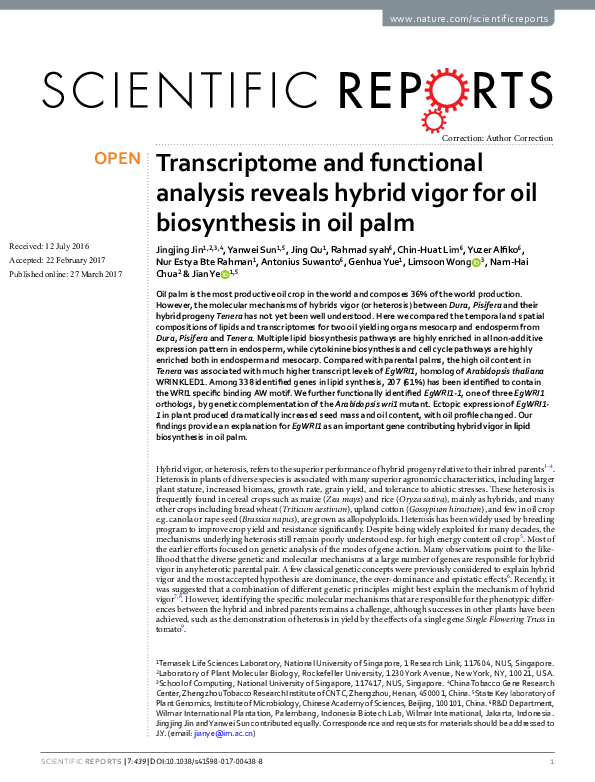 Pdf Transcriptome And Functional Analysis Reveals Hybrid Vigor For