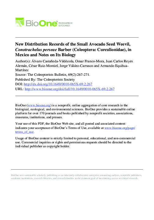 (PDF) New Distribution Records of the Small Avocado Seed Weevil ...