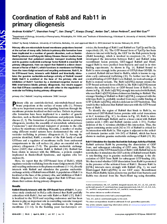 (PDF) Coordination of Rab8 and Rab11 in primary ciliogenesis