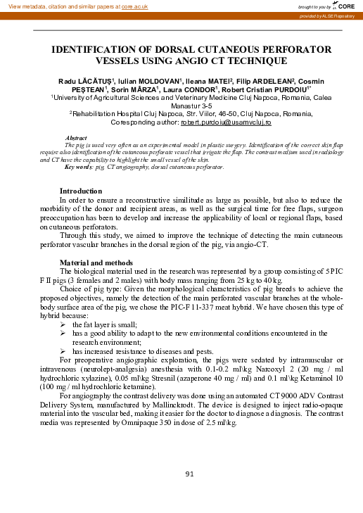 (PDF) Identification of dorsal cutaneous perforator vessels using angio ...