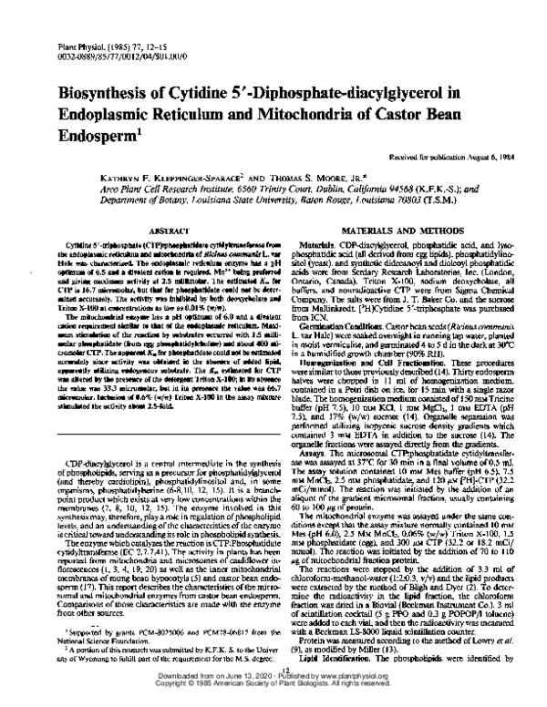 (PDF) Biosynthesis of Cytidine 5'-Diphosphate-diacylglycerol in ...