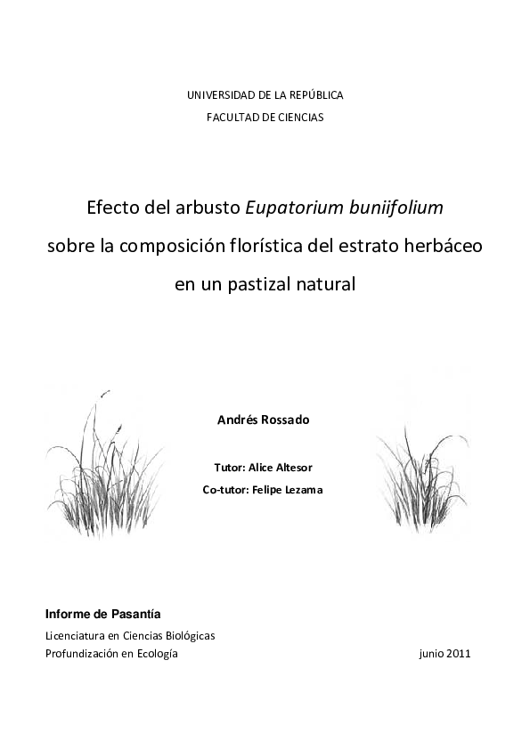 (PDF) Interactive Commodity Loop
