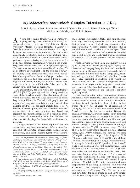 (PDF) Mycobacterium tuberculosis Complex Infection in a Dog
