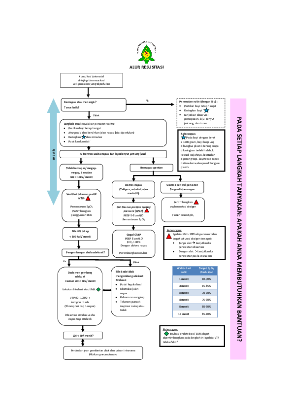(PDF) Alur Resusitasi Neonatus IDAI