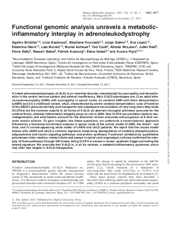 (PDF) Functional genomic analysis unravels a metabolic-inflammatory interplay in ...