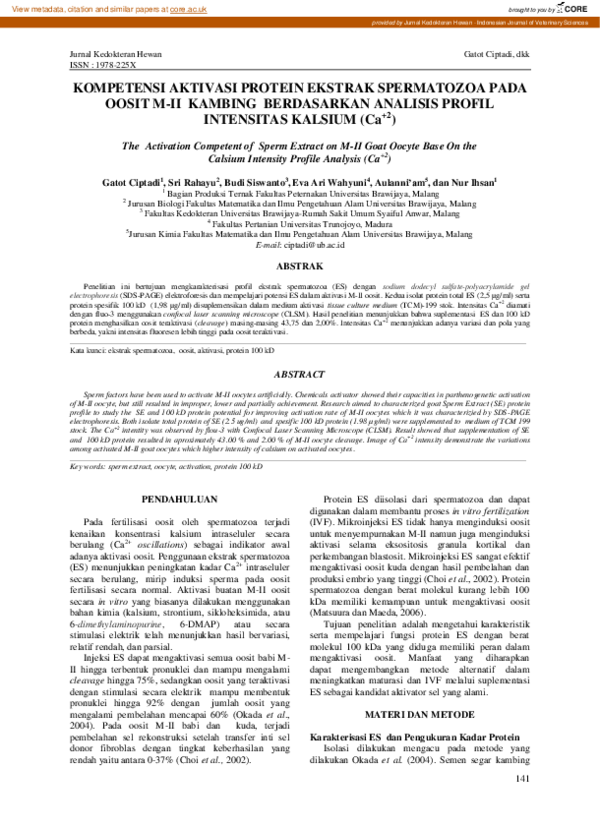 (PDF) KOMPETENSI AKTIVASI PROTEIN EKSTRAK SPERMATOZOA PADA OOSIT M-II ...