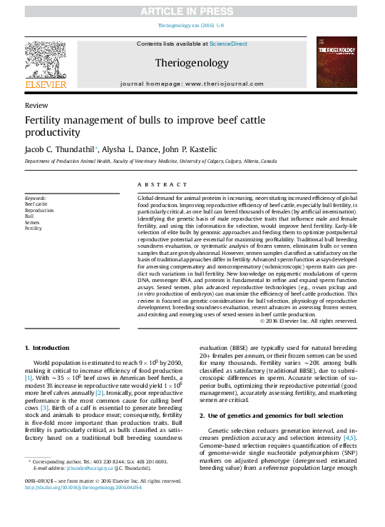 (PDF) Fertility management of bulls to improve beef cattle productivity