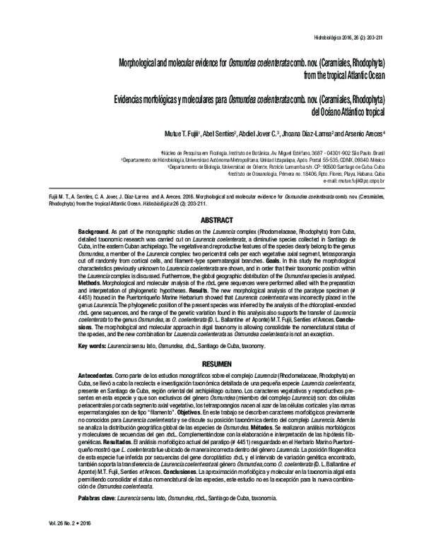 (PDF) Morphological and molecular evidence for Osmundea coelenterata ...