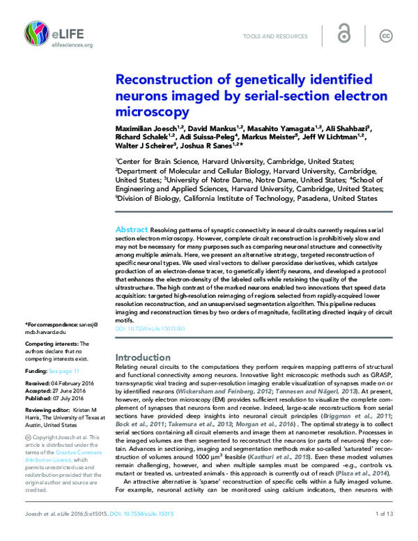 (PDF) Reconstruction of genetically identified neurons imaged by serial ...