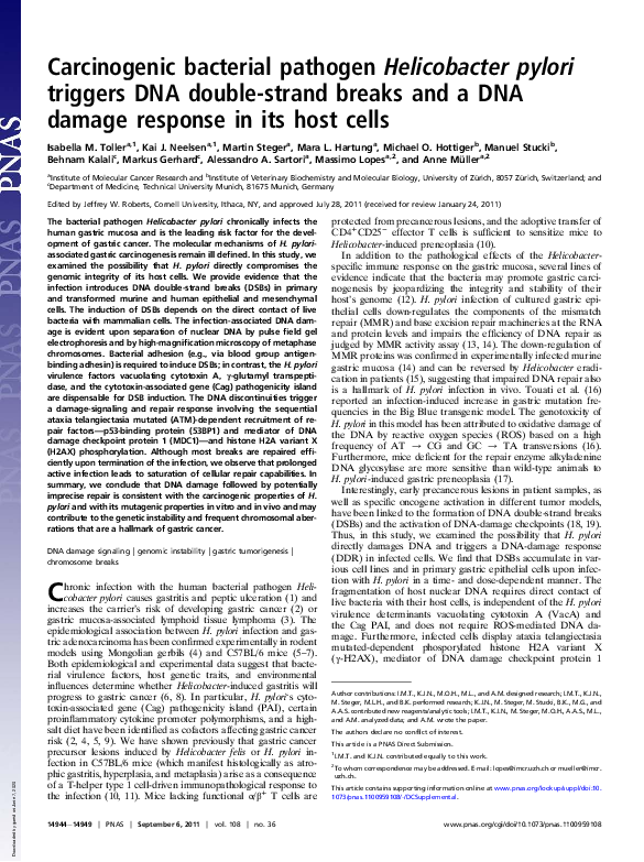 (PDF) Carcinogenic bacterial pathogen Helicobacter pylori triggers DNA ...
