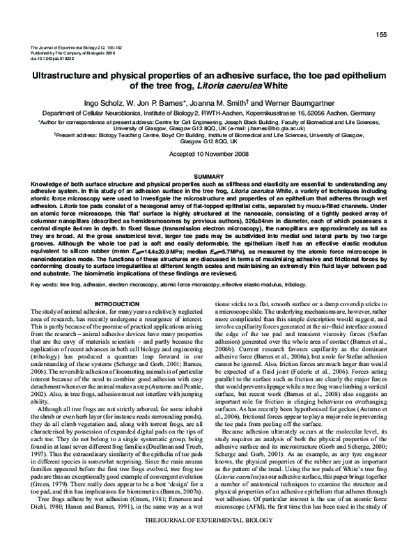 (PDF) Ultrastructure and physical properties of an adhesive surface ...