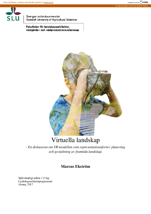 (PDF) Virtuella landskap