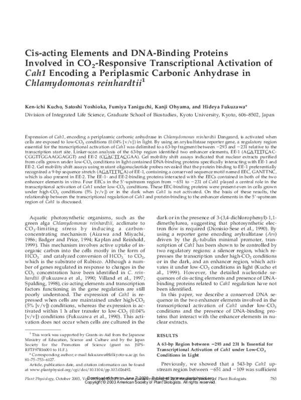 (PDF) Genetic programming based pattern classification with feature space partitioning