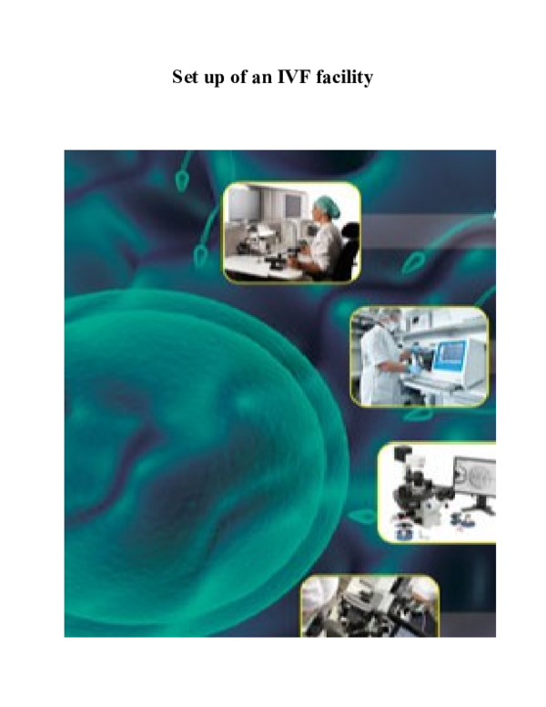 (DOC) IVF Set Up Project Report