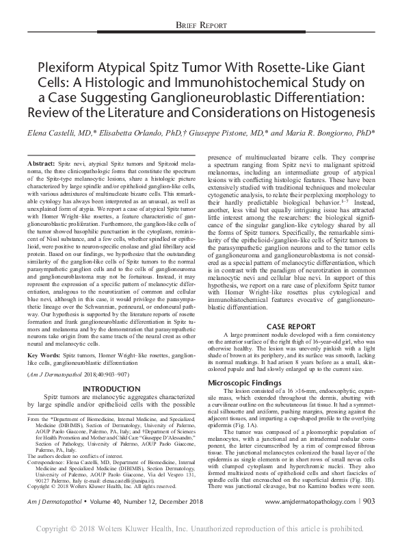 (PDF) Plexiform Atypical Spitz Tumor With Rosette-Like Giant Cells: A ...