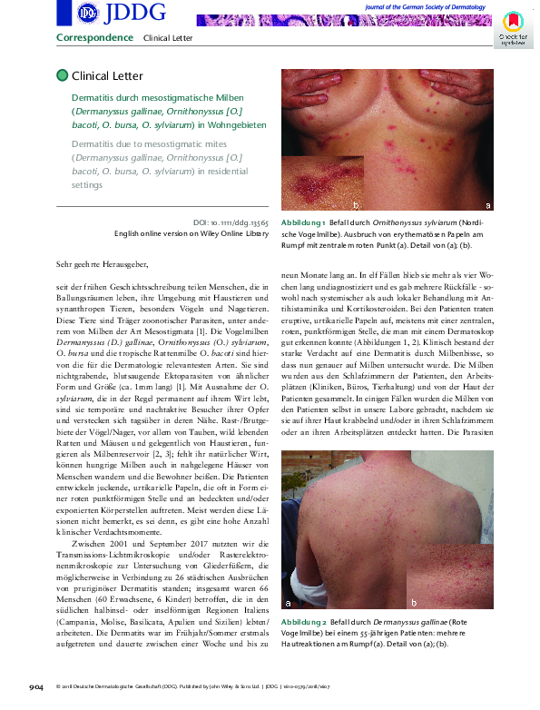 (PDF) Dermatitis durch mesostigmatische Milben (Dermanyssus gallinae ...