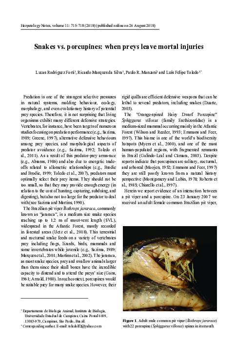 (PDF) Snakes vs. porcupines: when preys leave mortal injuries
