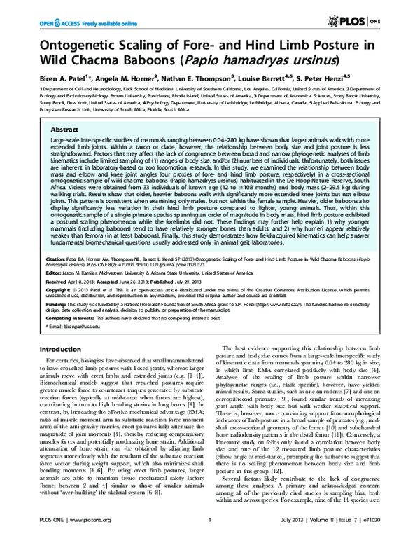 (PDF) Ontogenetic Scaling of Fore- and Hind Limb Posture in Wild Chacma ...
