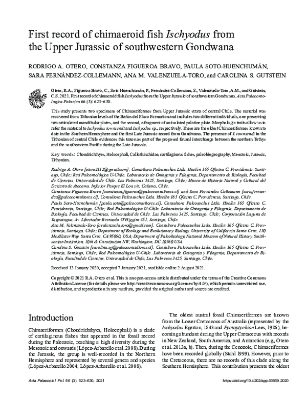 (PDF) First record of Ischyodus (Chondrichthyes, Holocephali) from the ...