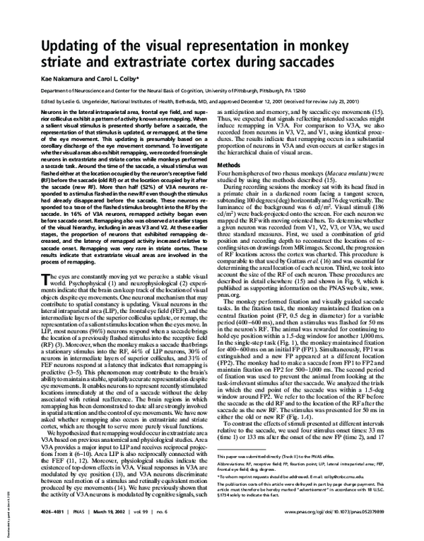 (PDF) Updating of the visual representation in monkey striate and extrastriate cortex during ...