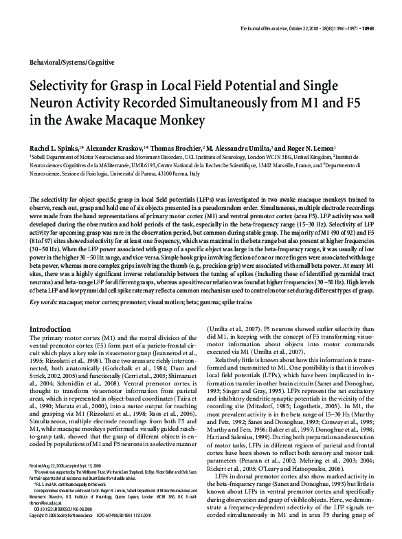 (PDF) Selectivity for Grasp in Local Field Potential and Single Neuron Activity Recorded ...