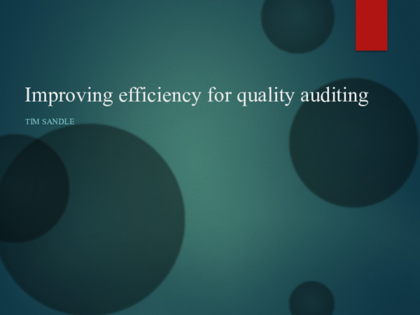 (PPT) Audit efficiency storyboard