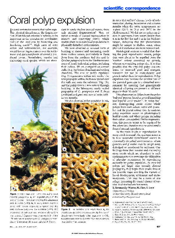(PDF) Coral polyp expulsion