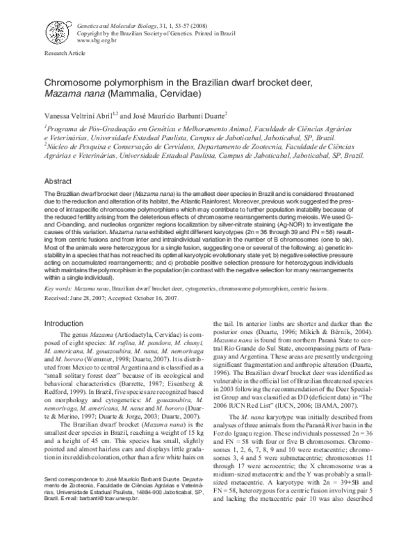 (PDF) Chromosome polymorphism in the Brazilian dwarf brocket deer ...
