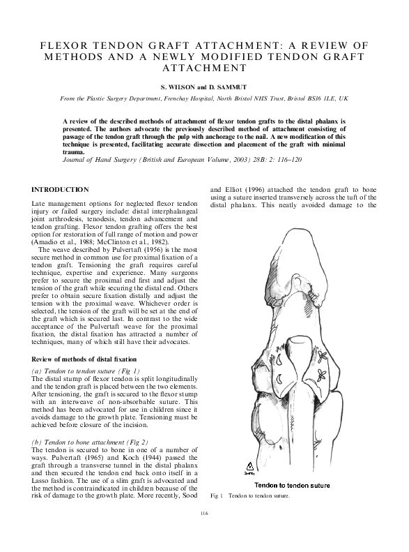 (PDF) Flexor Tendon graft attachment: A Review of methods AND a newly ...