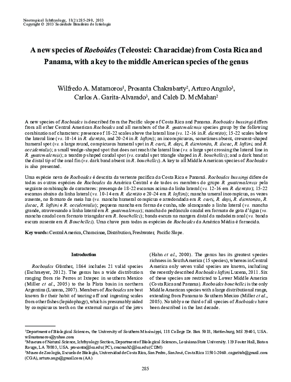 (PDF) A new species of Roeboides (Teleostei: Characidae) from Costa ...