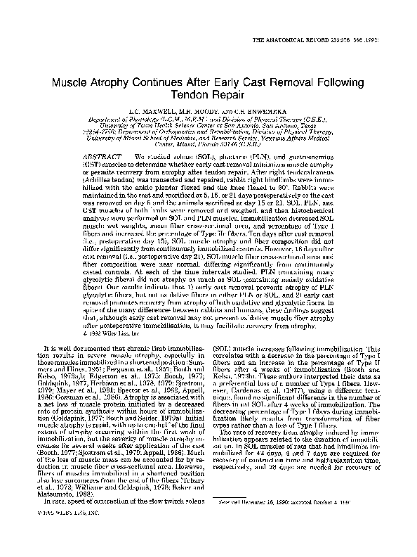 (PDF) Muscle atrophy continues after early cast removal following ...