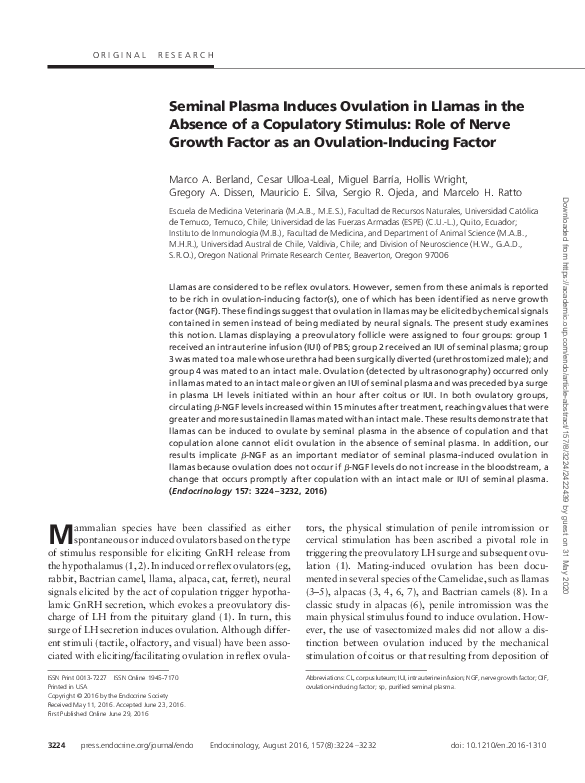 (PDF) Seminal plasma induces ovulation in llamas in the absence of a ...