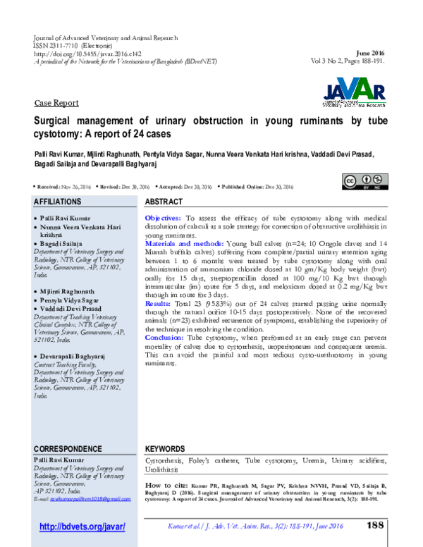 (PDF) Surgical management of urinary obstruction in young ruminants by ...