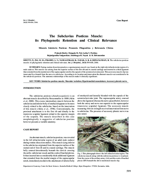 (PDF) The Subclavius Posticus Muscle: its Phylogenetic Retention and ...