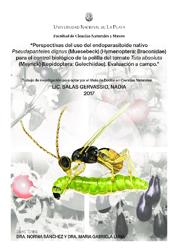 (PDF) Perspectivas del uso del endoparasitoide nativo Pseudapanteles ...