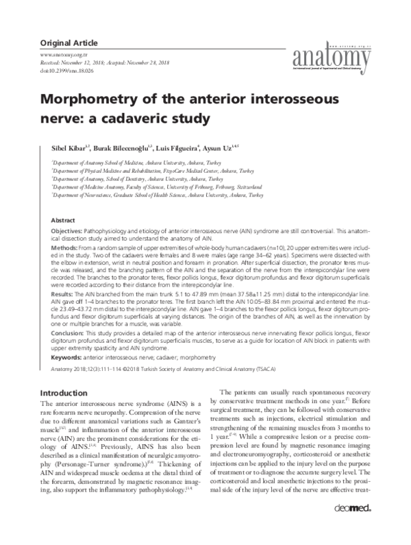 (PDF) Morphometry of the anterior interosseous nerve: a cadaveric study | Sibel Kibar - Academia.edu