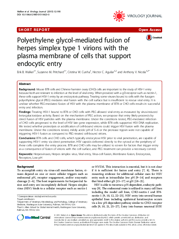 (PDF) Polyethylene glycol-mediated fusion of herpes simplex type 1 ...