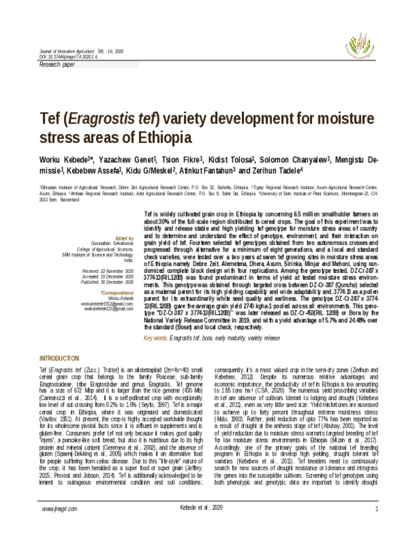 (PDF) Tef (Eragrostis tef) variety development for moisture stress ...