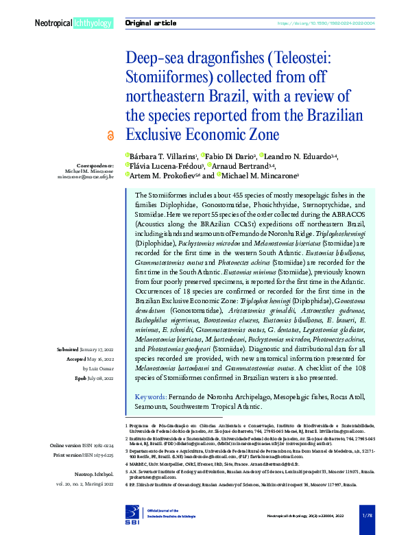(PDF) Deep-sea dragonfishes (Teleostei: Stomiiformes) collected from ...
