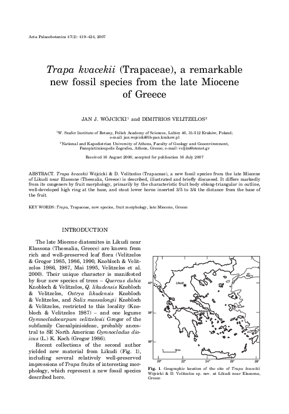 (PDF) Trapa kvacekii (Trapaceae), a remarkable new fossil species from ...