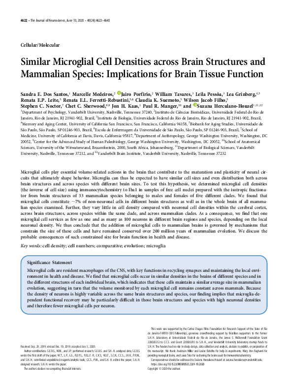 (PDF) Microglial Cell Densities in Mammals' Brains