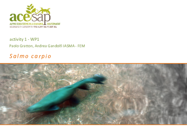 (PDF) Salmo carpio project (ACE-SAP A1-WP1)