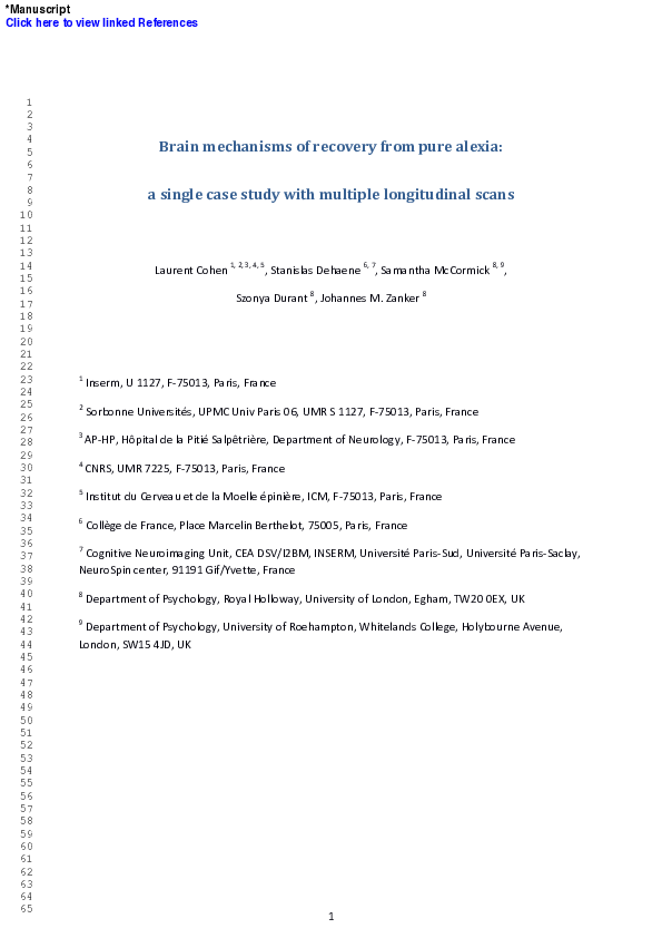 (PDF) Brain mechanisms of recovery from pure alexia: A single case ...